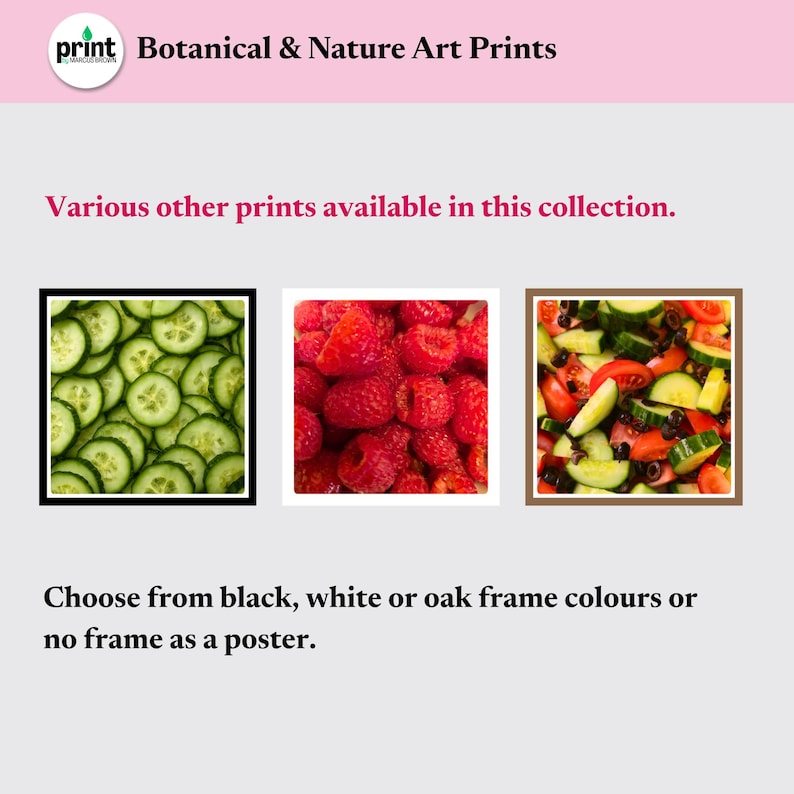 Tomato Kitchen Print | Botanical Food Photography, Farmhouse Decor ...