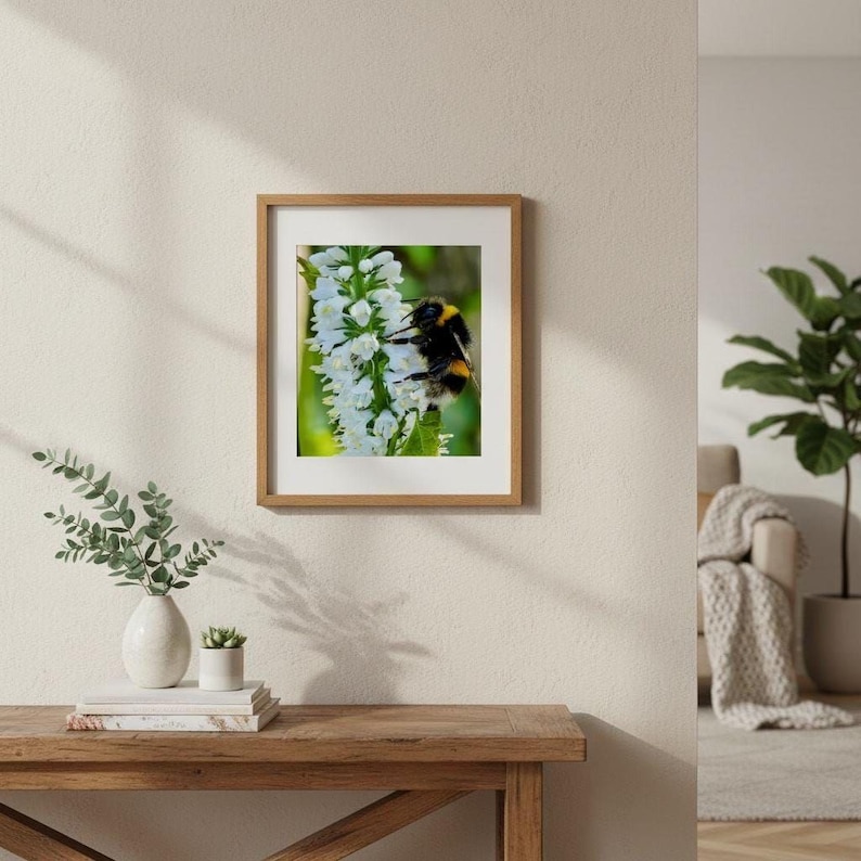 Macro Bumblebee Photography Print | White Floral Botanical Nature Decor ...