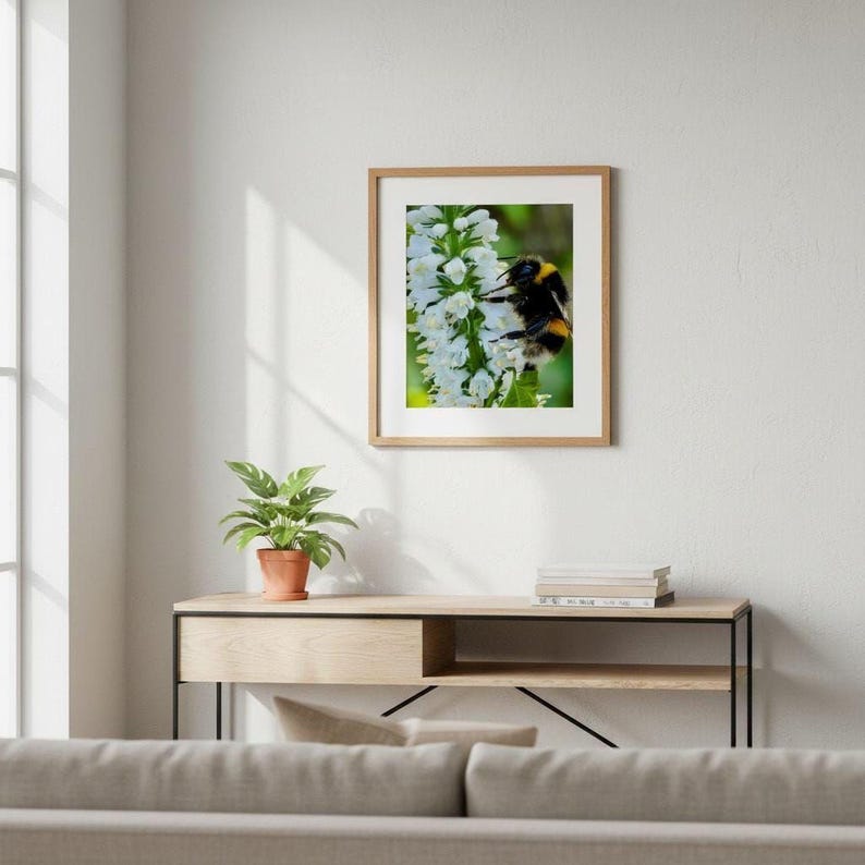 Macro Bumblebee Photography Print | White Floral Botanical Nature Decor ...