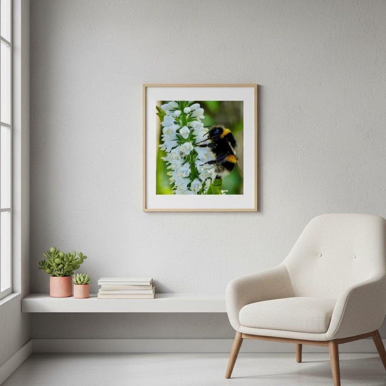 Macro Bumblebee Photography Print | White Floral Botanical Nature Decor ...