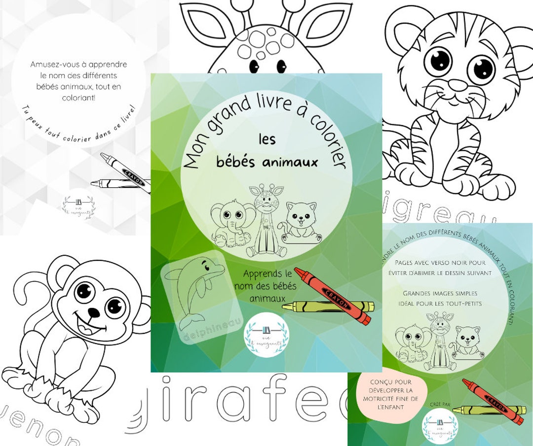 Livre à Colorier - Les Bébés Animaux - Coloring Book Baby Animals ...