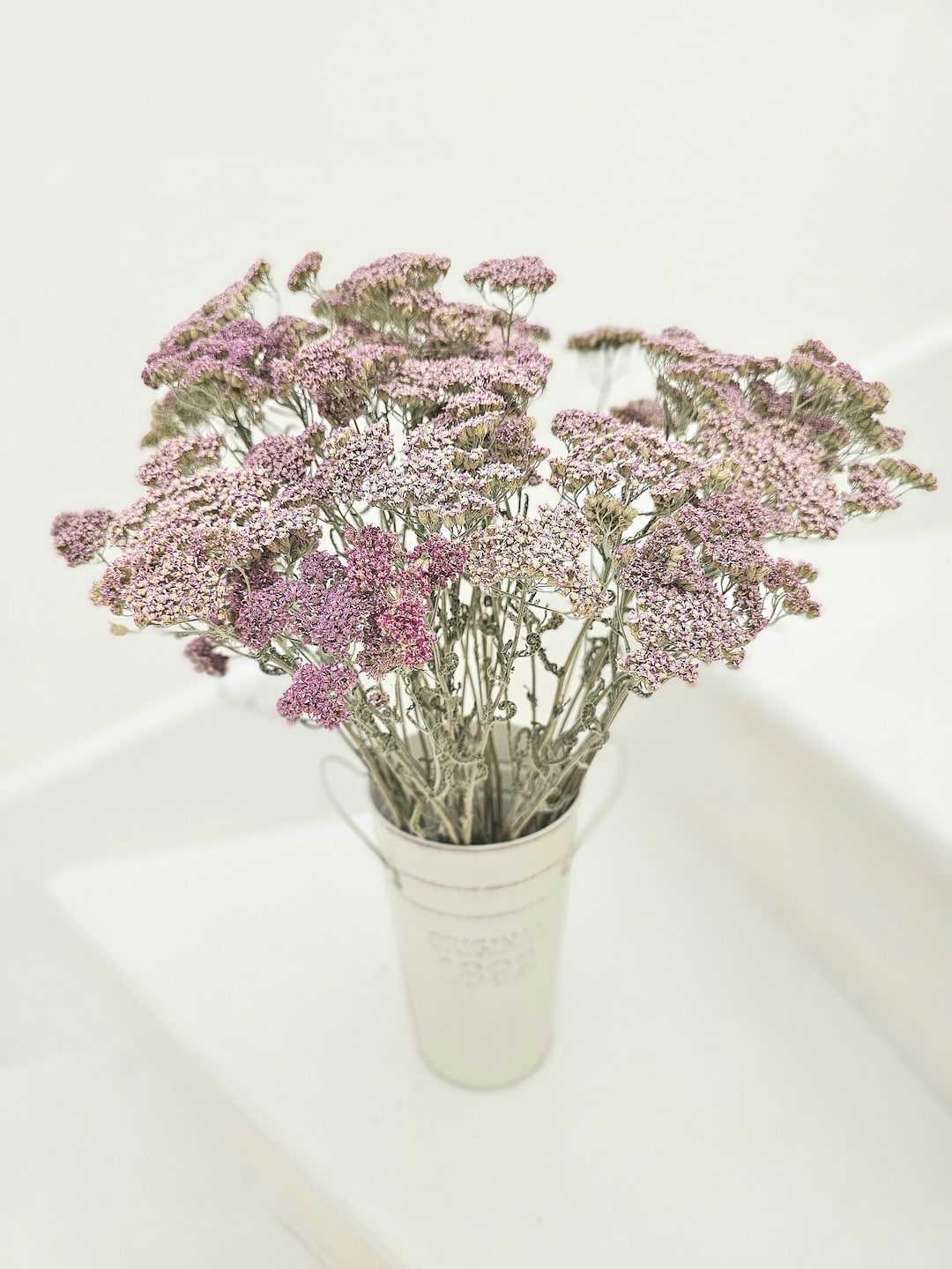 Dried Yarrow Flower Stems Bouquet With Color Options (achillea ...