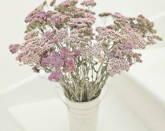 Dried Yarrow Flower Stems Bouquet With Color Options (achillea ...