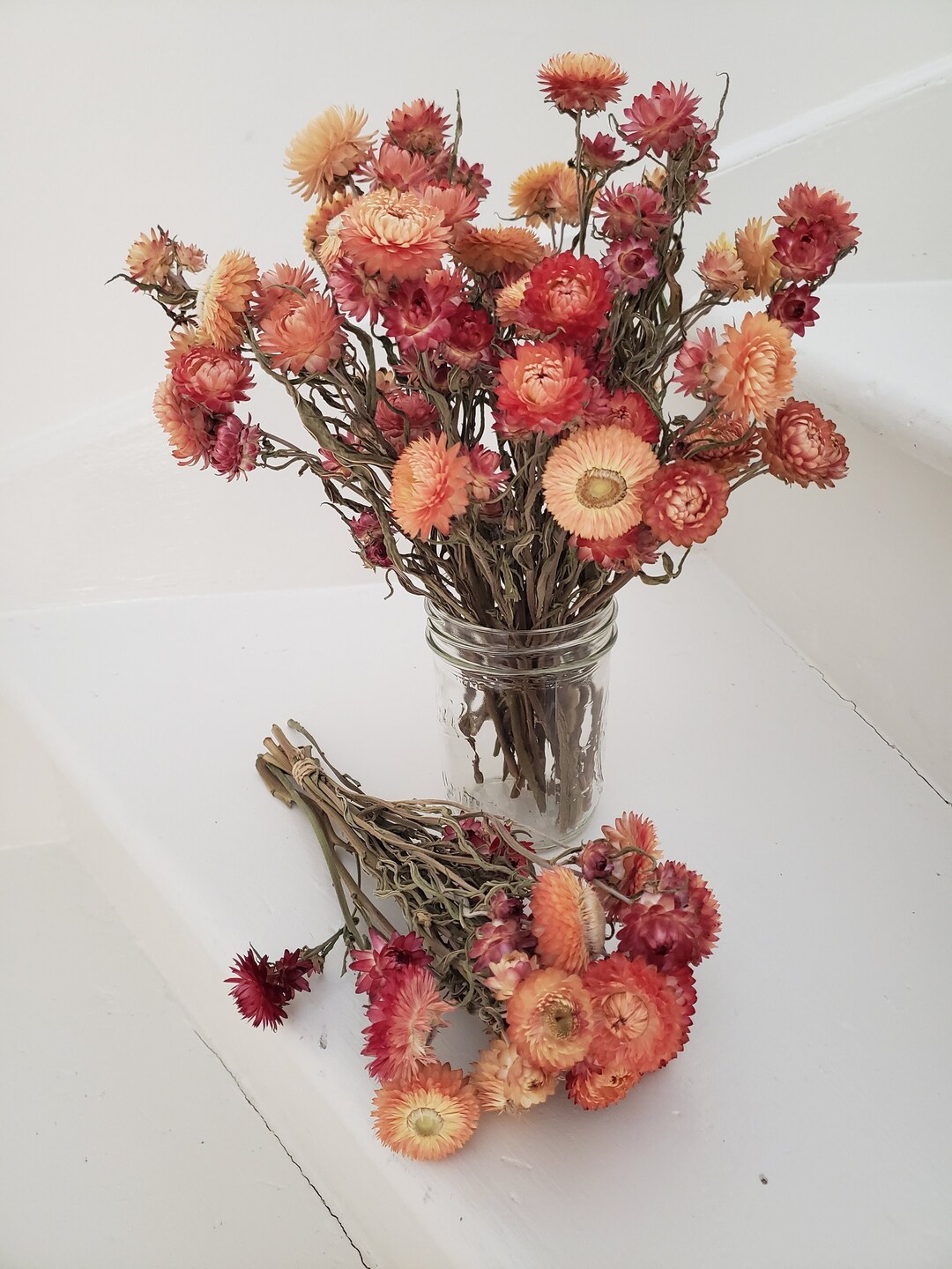 Dried Strawflower Stems Dried Strawflowers Orange Dark Red - Etsy