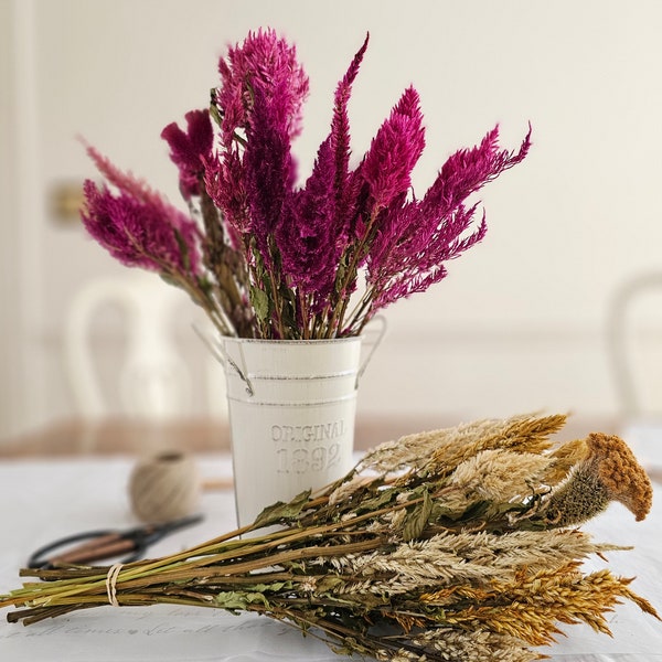 Dried Flower Stems - Etsy