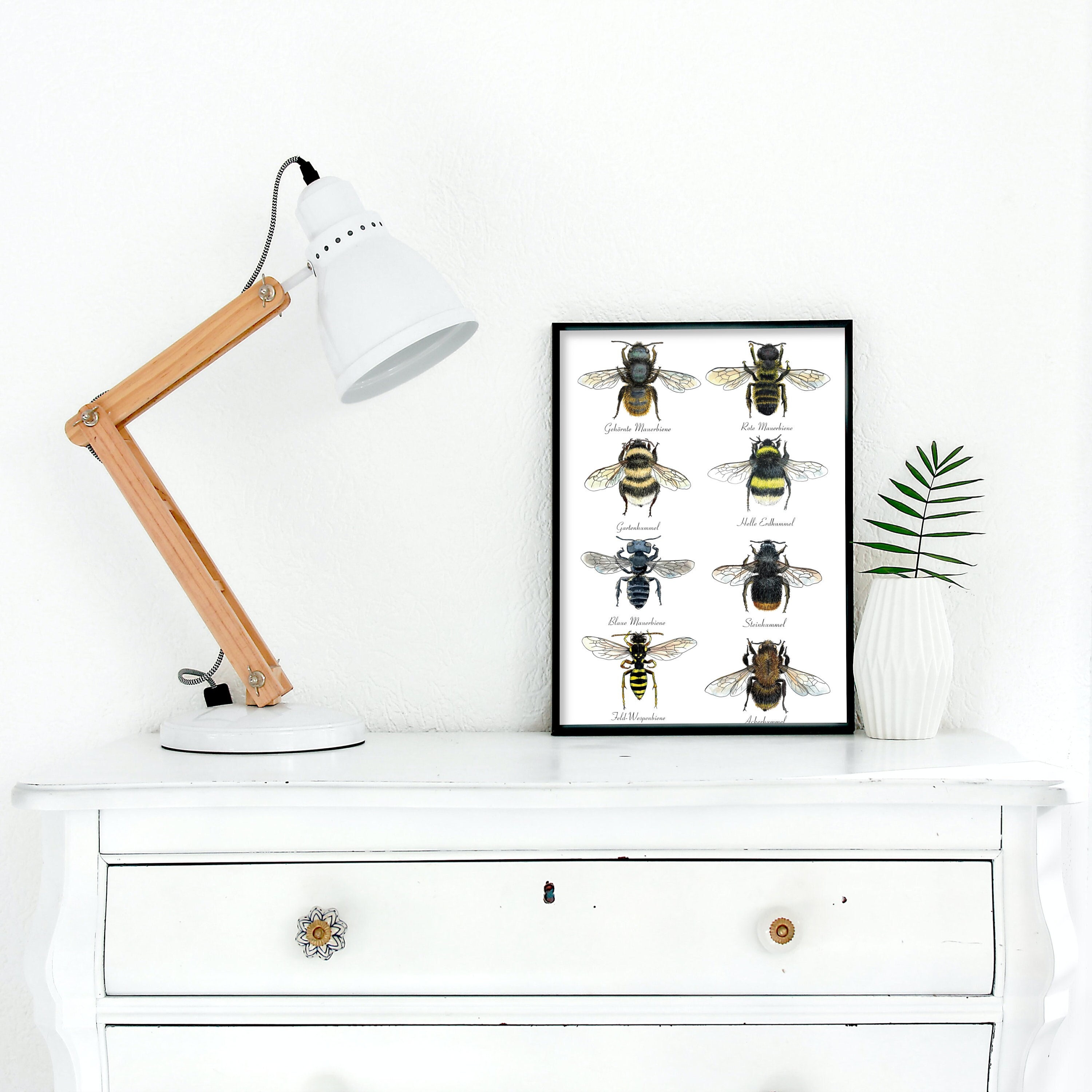 Native Wild Bees, Nature Poster A4/A3, Bumblebee, Bees Illustration ...