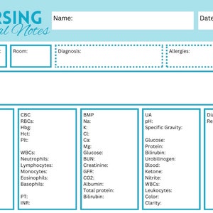 Nursing Report Template - Etsy