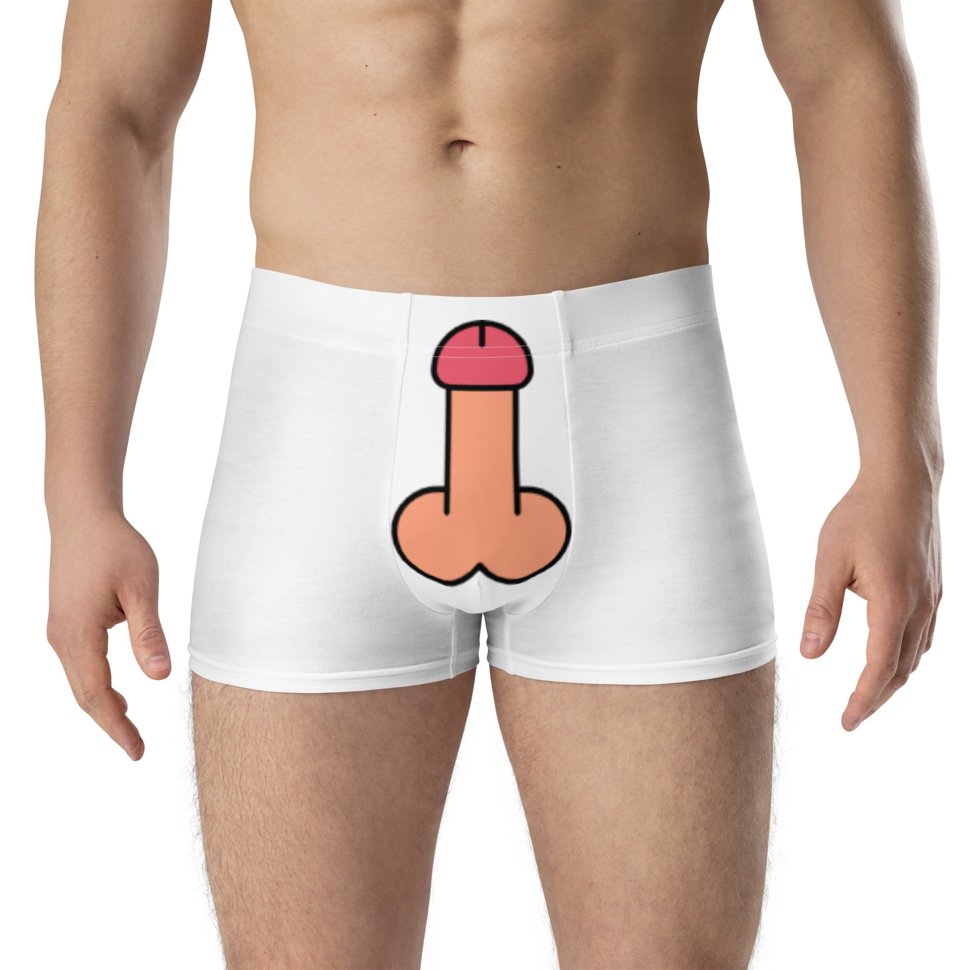 Dick Boxer Briefs Big Penis Underwear Gift for Husband Gay Mature Soft and Stretchy Him Mens Gag ...