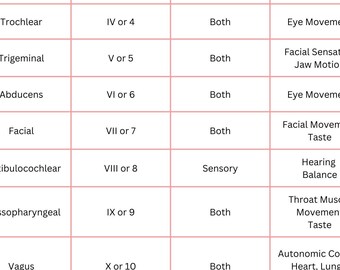 Cranial Nerves Cheat Sheet - Etsy Australia