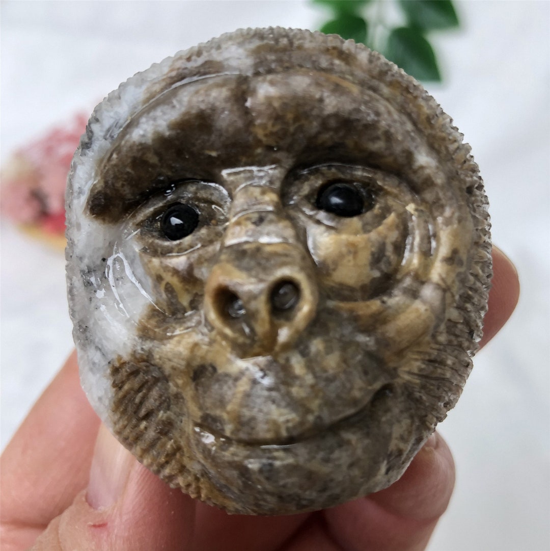 Mineral Specimen Crystla Cluster Carved Monkey Skull Crystal - Etsy