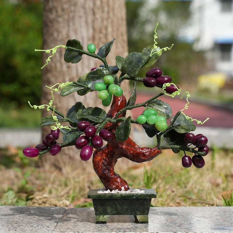 Grapevine Bonsai - Etsy