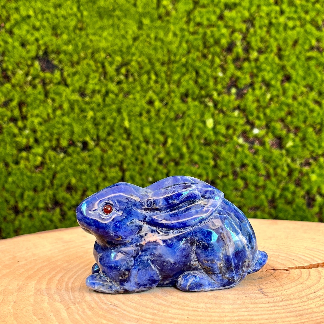 Hand-carved Sodalite Rabbit Sculpture: Crystal Bunny With Red Bead - Etsy