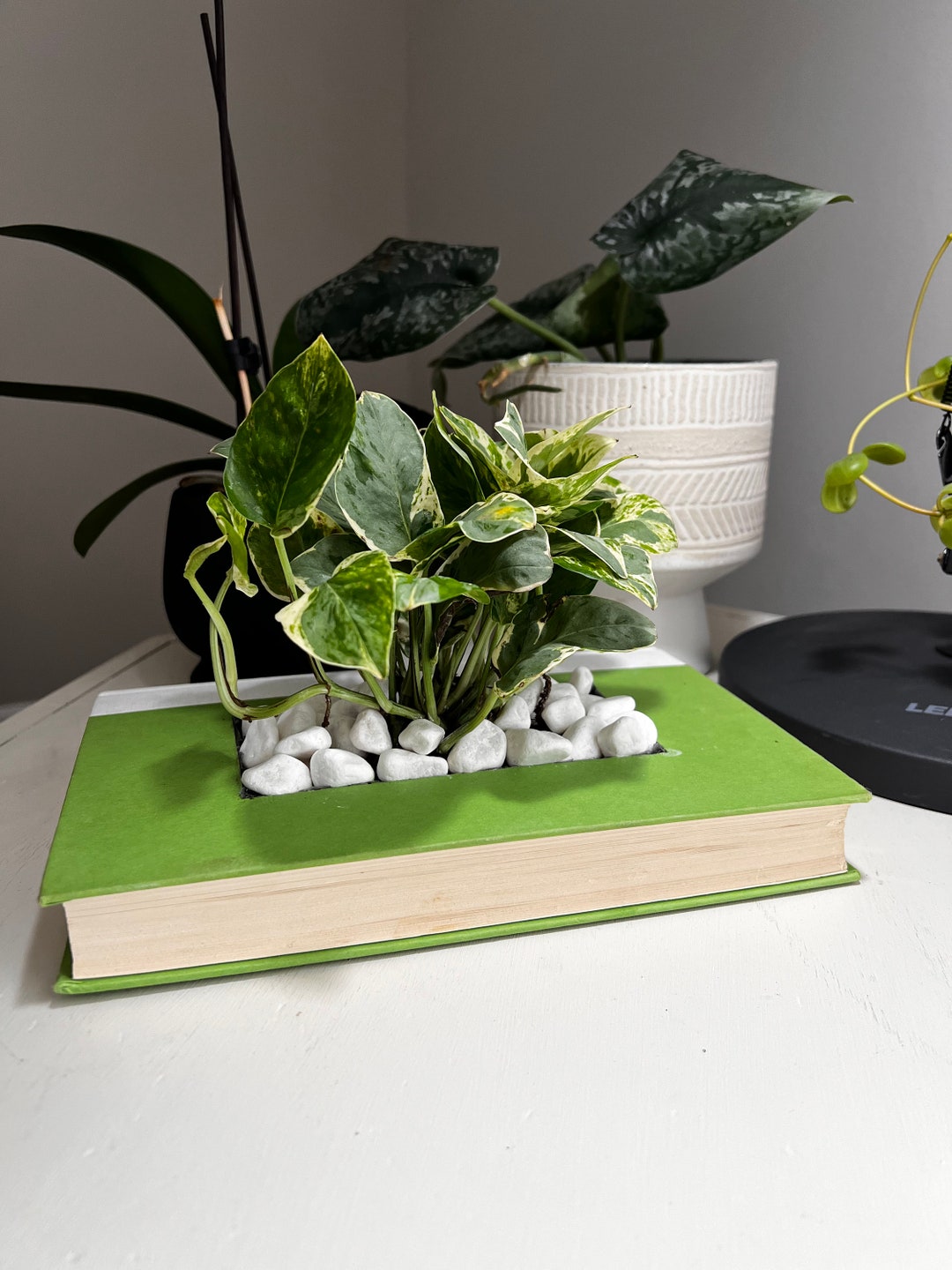 Old Reused Book Planter - Etsy
