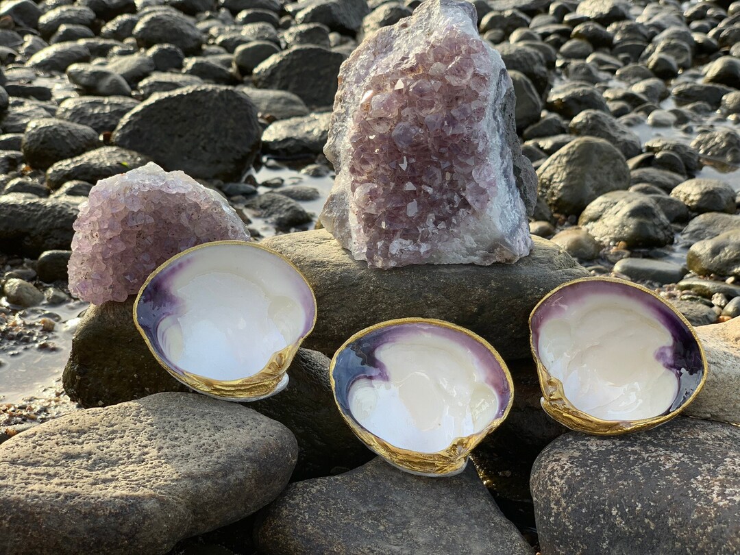 Seashell Jewelry Dish Holder - Etsy