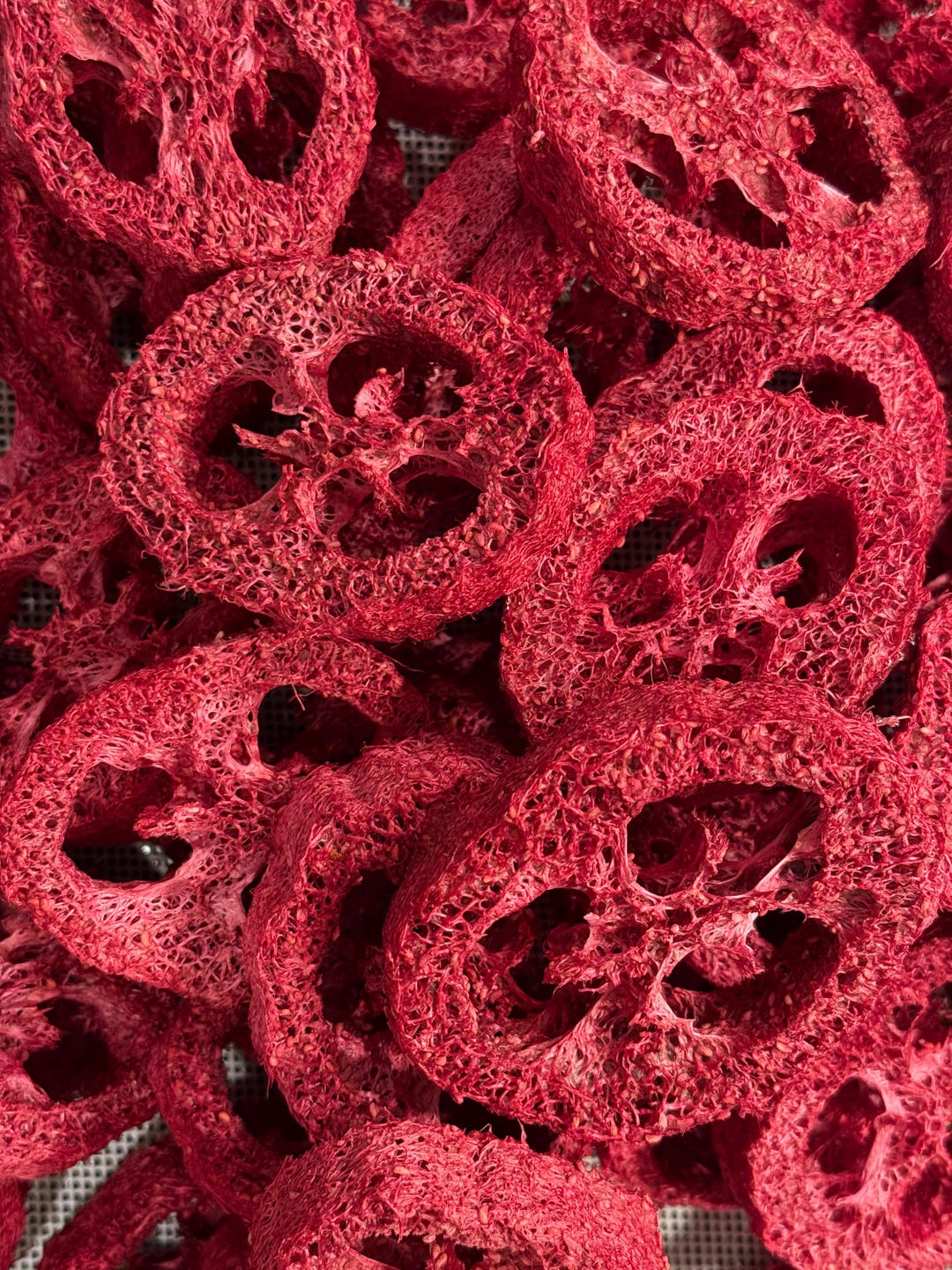 Loofy Loops - High in Fiber and Fun! Chew Toys to Help the Dental ...