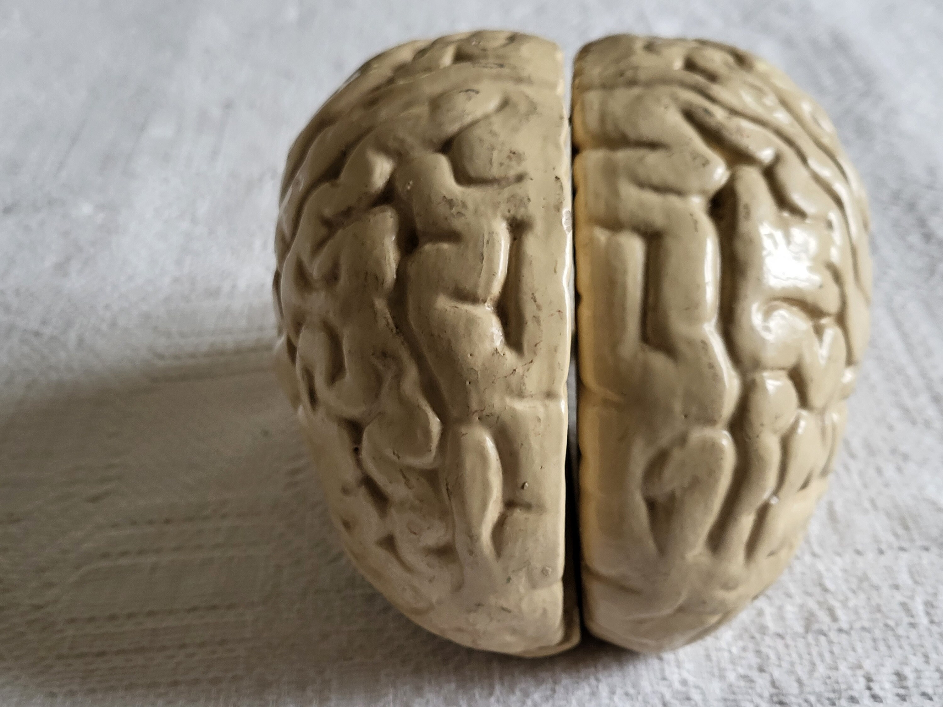 Unhealthy Human Brain