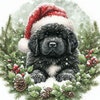 Mummering is a Newfoundland Tradition - Etsy