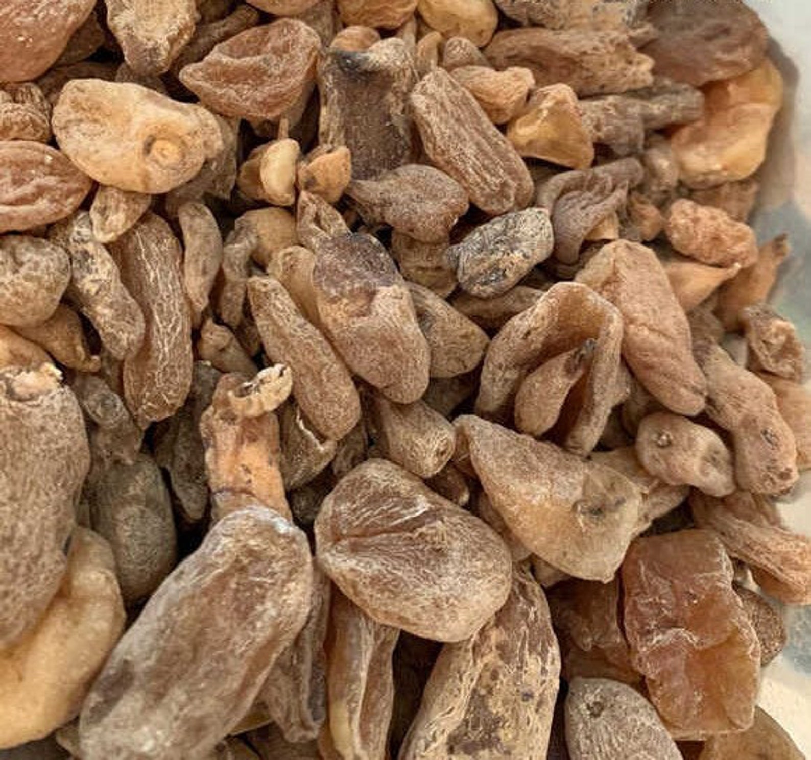 Salep Sahlep Raw Sahlep Salep Raw Pure Salep Original Root Sahlep 25g ...