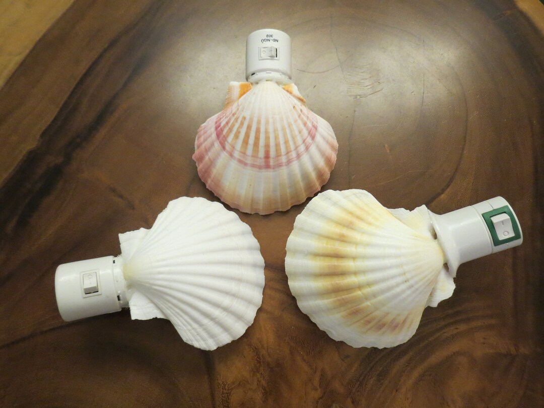 Great Bathroom Night Light, Clam Lamp, Night Light With Shellfish, Sea ...