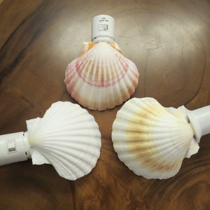 Great Bathroom Night Light, Clam Lamp, Night Light With Shellfish, Sea ...