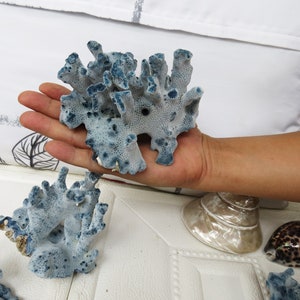 Blue Coral, Natural Blue Coral, Coral Decor,aquarium Coral, Home Decor ...