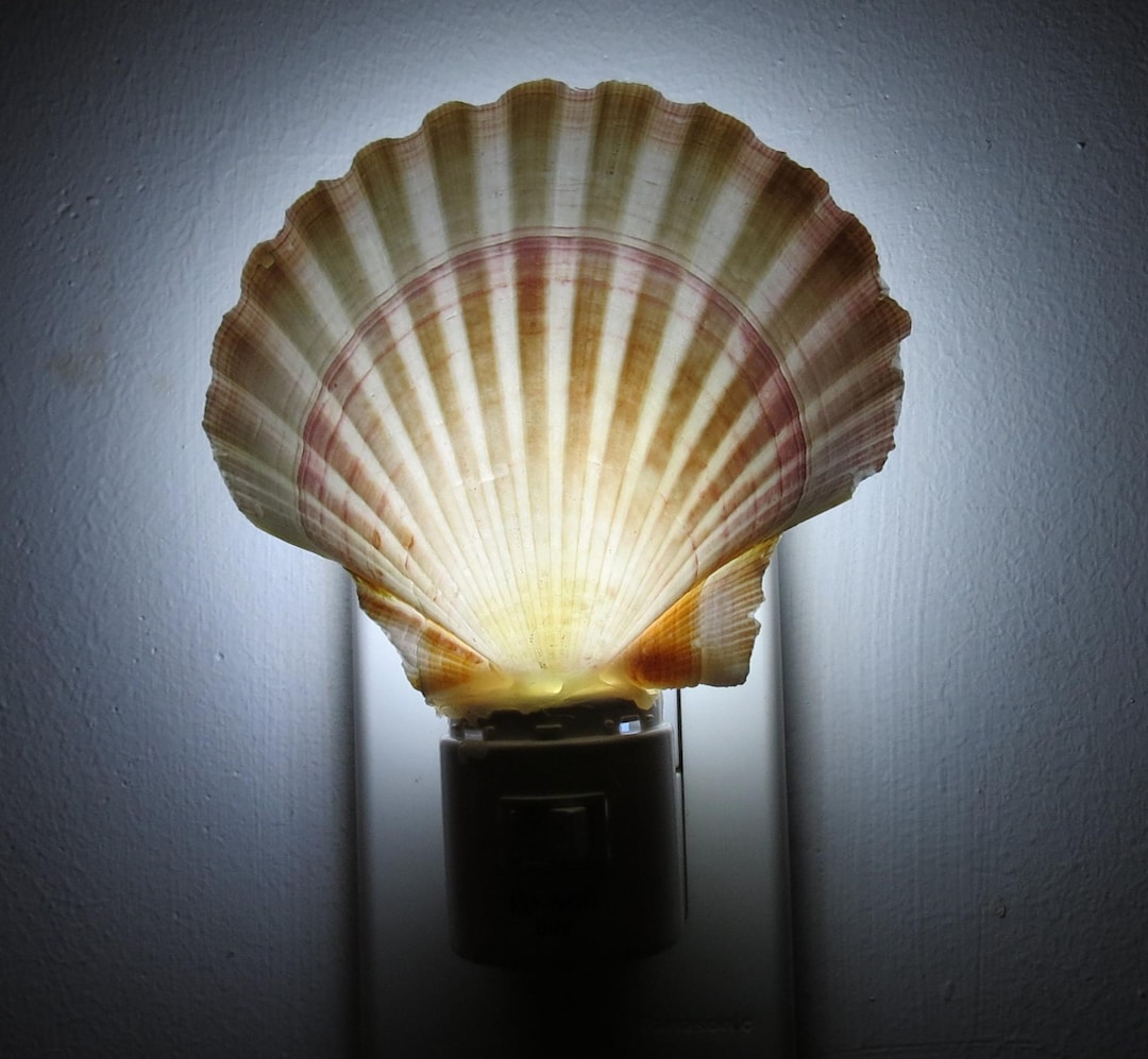 Pink White Sclallop Night Light | Sea Shell Night Light | Sea Shell ...