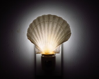 Seashell Beach Night Light - Etsy