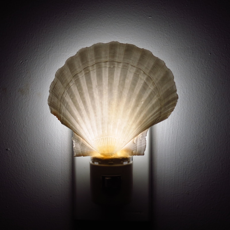 Seashell Night Light - Etsy