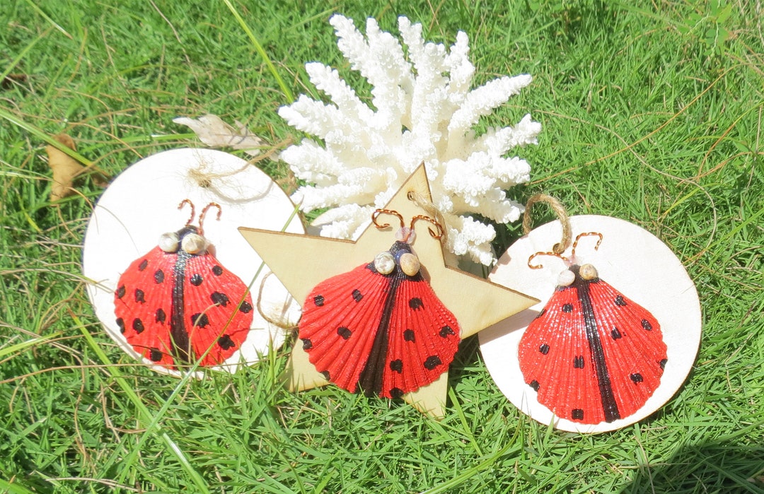Three Ladybugs Sea Shell,l, Seashells Painting, Sea Snails, Copper Wire ...