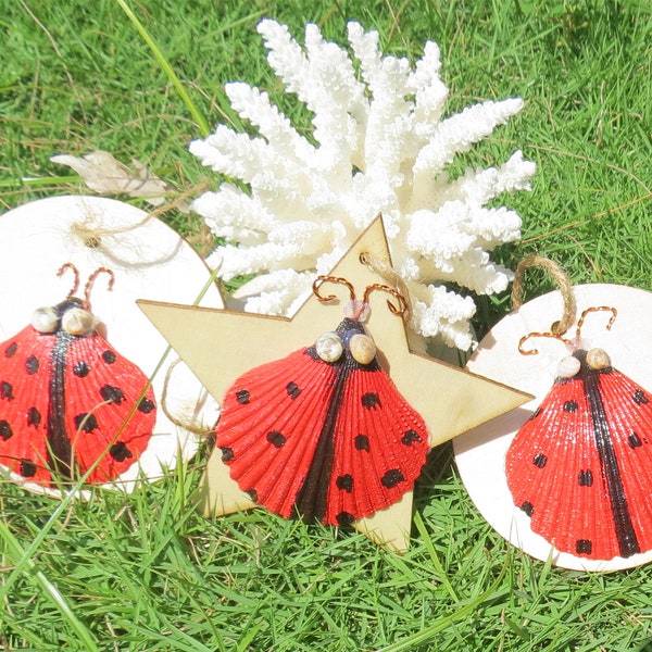 Painted Rocks and Shells - Etsy