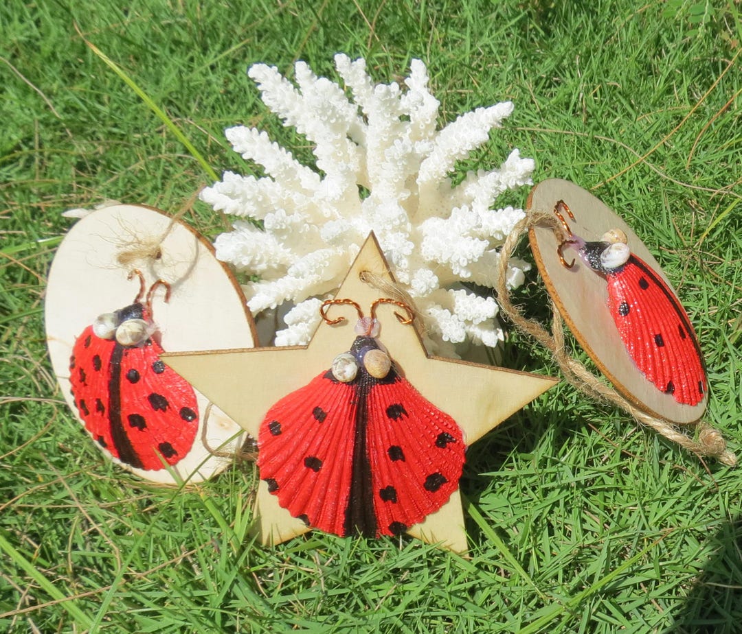 Three Ladybugs Sea Shell,l, Seashells Painting, Sea Snails, Copper Wire ...