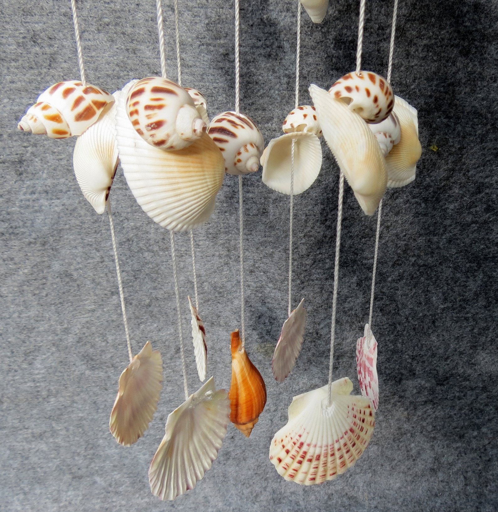 Seashell Wind Chimes, Snail Shell Wind Chimes, Seashell Strings, Snail ...