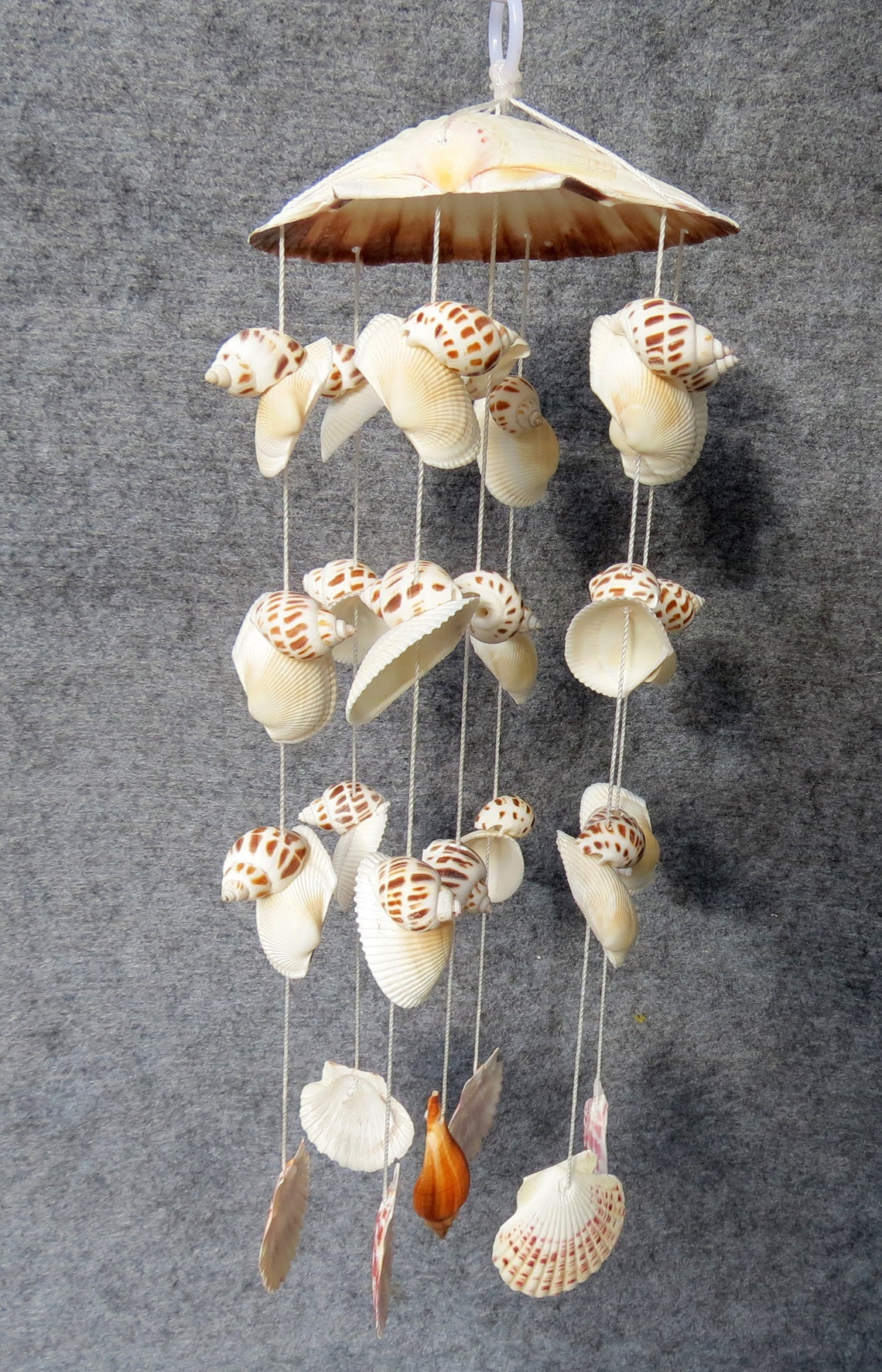 Seashell Wind Chimes, Snail Shell Wind Chimes, Seashell Strings, Snail ...