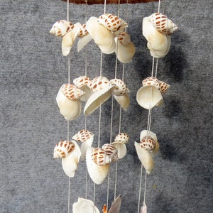 Seashell Wind Chimes, Snail Shell Wind Chimes, Seashell Strings, Snail ...