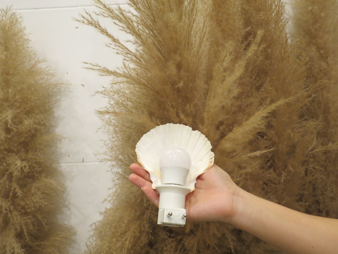 Great Bathroom Night Light, Clam Lamp, Night Light With Shellfish, Sea ...