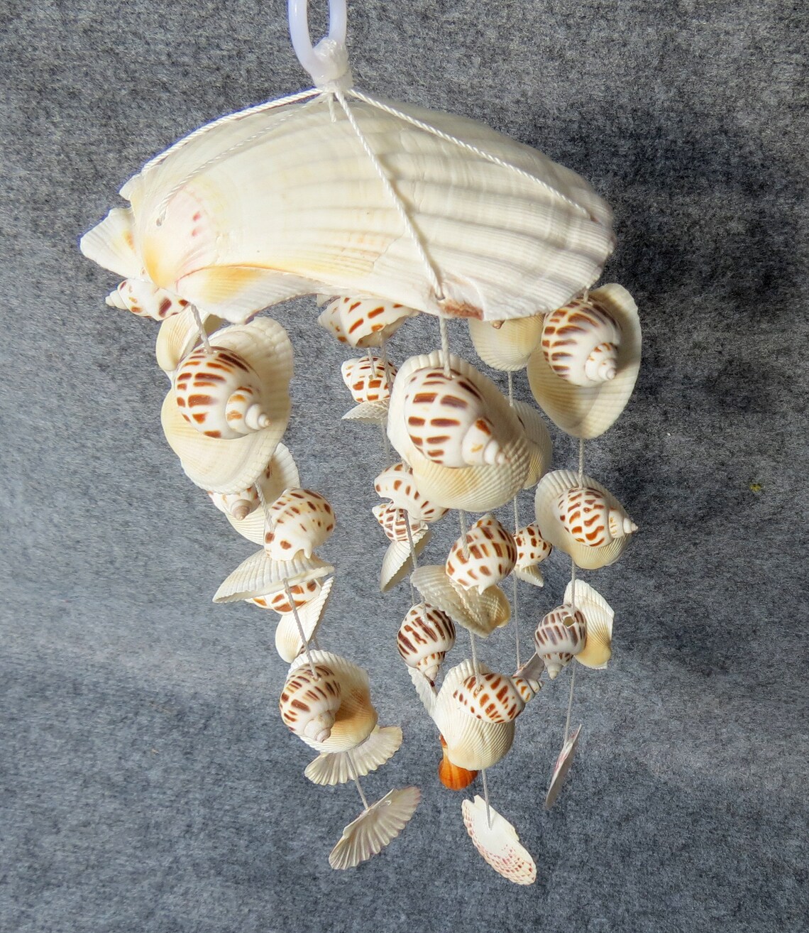 Seashell Wind Chimes, Snail Shell Wind Chimes, Seashell Strings, Snail ...
