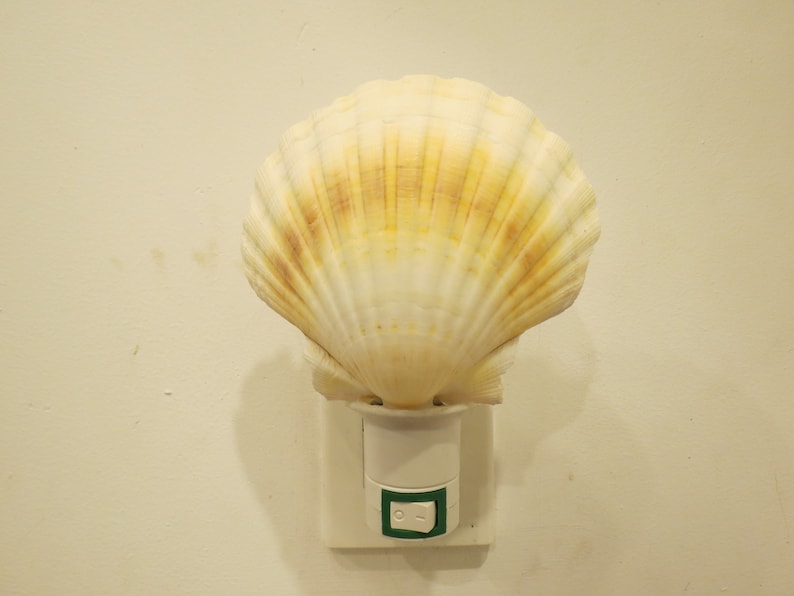 Great Bathroom Night Light, Clam Lamp, Night Light With Shellfish, Sea ...