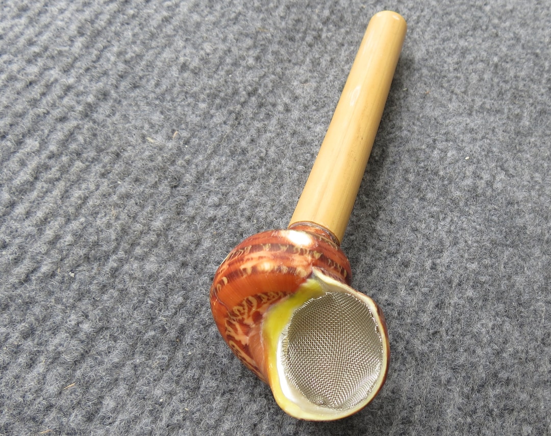 Shell Pipe Bamboo-handled Pipe Natural Conch Shell Material Pipe - Etsy