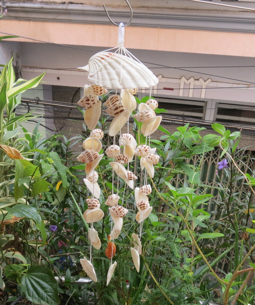Seashell Wind Chimes, Snail Shell Wind Chimes, Seashell Strings, Snail ...