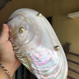 Mother-of-pearl Bowl, 30-32cm Long Mother-of-pearl Bowl, Beautiful ...