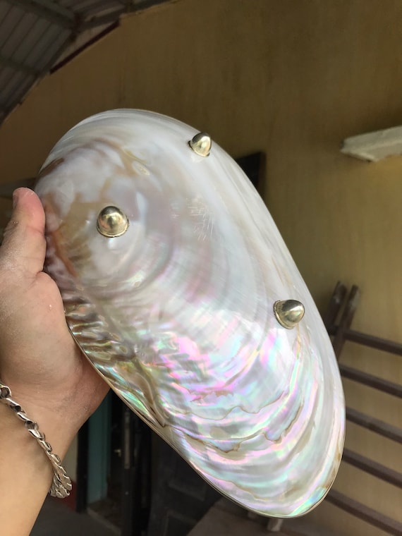 Mother Of Pearl Decorative Bowl File:Decorative Shell Bowl, 17th