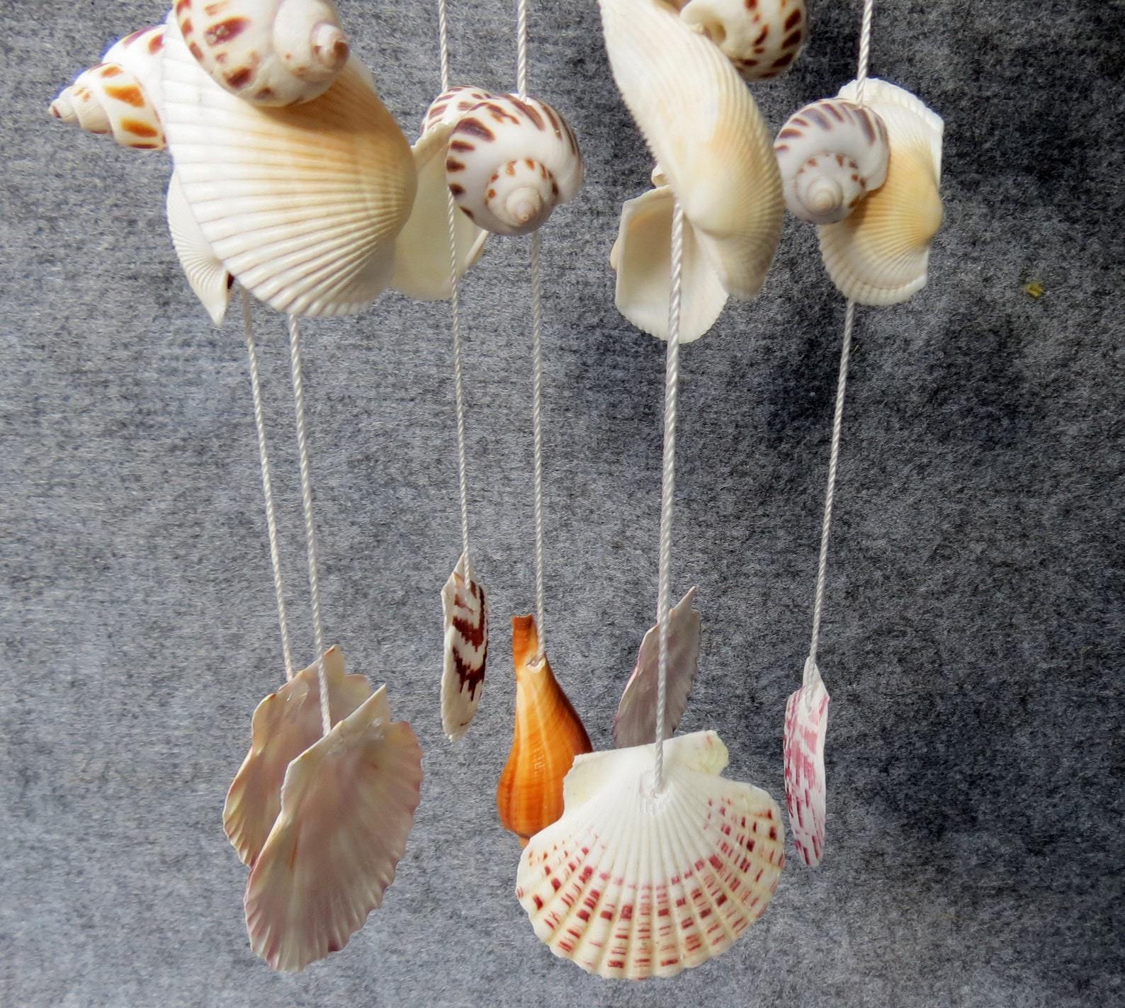 Seashell Wind Chimes, Snail Shell Wind Chimes, Seashell Strings, Snail ...