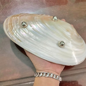 Mother-of-pearl Plate 24cm-26cm Long - Etsy