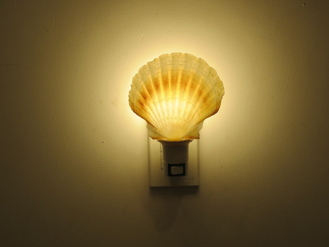 Great Bathroom Night Light, Clam Lamp, Night Light With Shellfish, Sea ...
