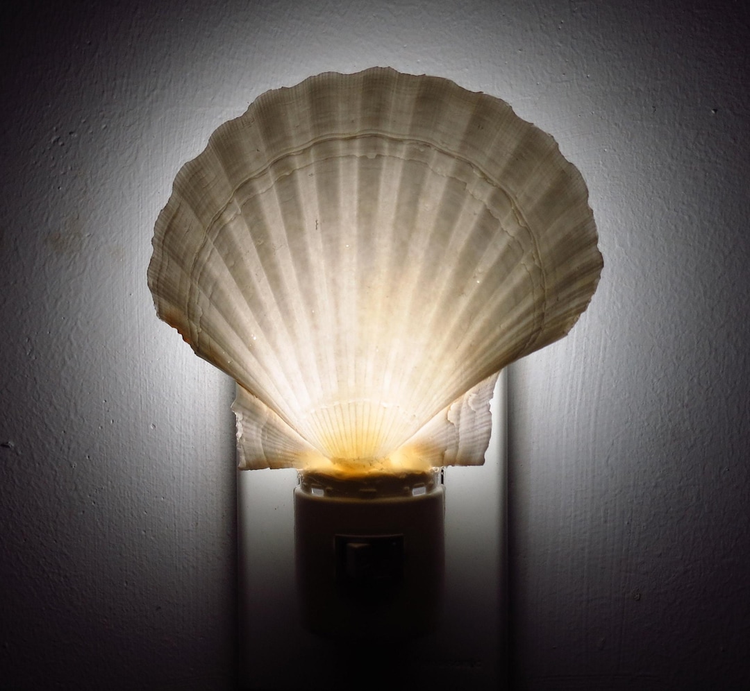 Seashell Night Light | Shell Night Light | White Scallop Clam Night ...