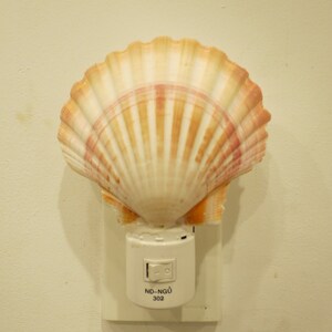 Great Bathroom Night Light, Clam Lamp, Night Light With Shellfish, Sea ...