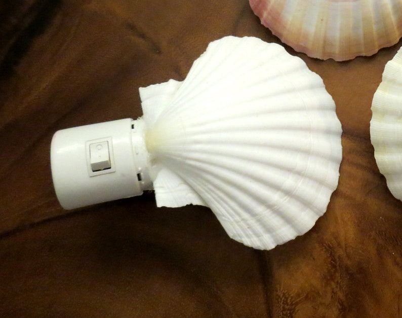 Seashell Night Light | Shell Night Light | White Scallop Clam Night ...