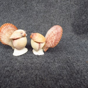 Two Shell Birds, Small Birds, Porcelain Birds, Stone Birds, Decorative ...
