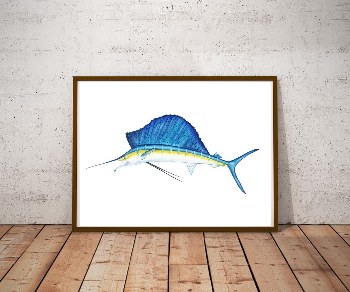 Sailfish Watercolor Digital Printable Art Sea Marine Life - Etsy