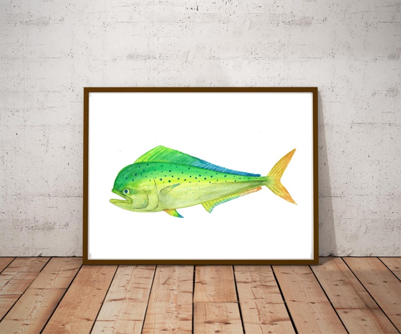 Mahi Mahi Watercolor | Digital Art | Printable Digital Art - Etsy